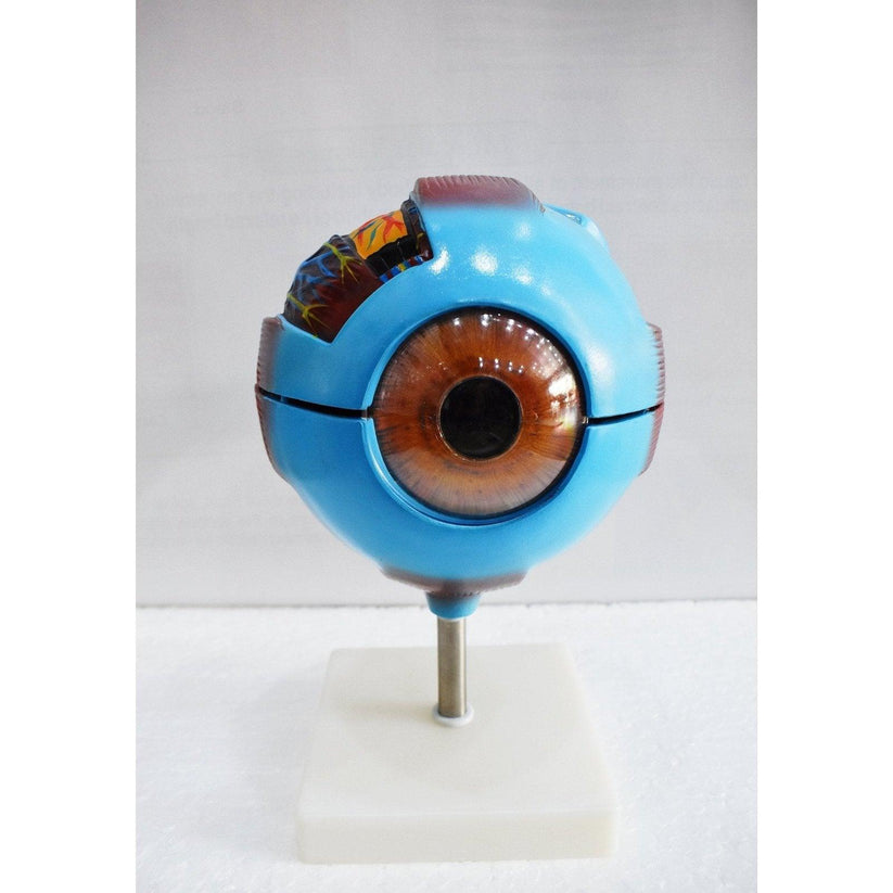 EYE Education Model – Medilab India